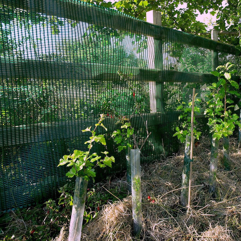 Wind Protection Netting & Mesh | Protect Plants from Wind Damage ...