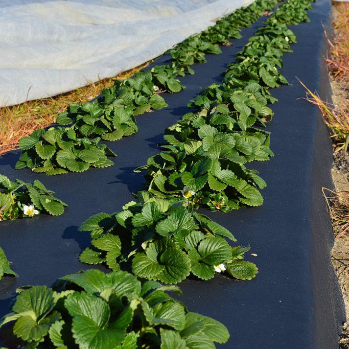 Heavy Duty Polythene Sheet Ground Or Protection Cover Premier Netting heavy-duty-polythene-sheet-ground-or-protection-cover-premier-netting