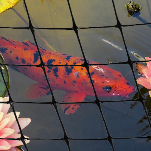 Pond Netting - Large Mesh 50mm x 50mm 100m Roll – Premier Netting