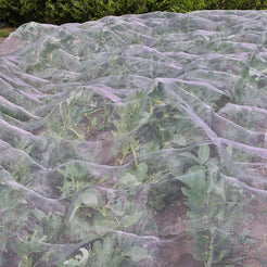 Ultra Fine Insect Mesh Netting - by the METRE – Premier Netting