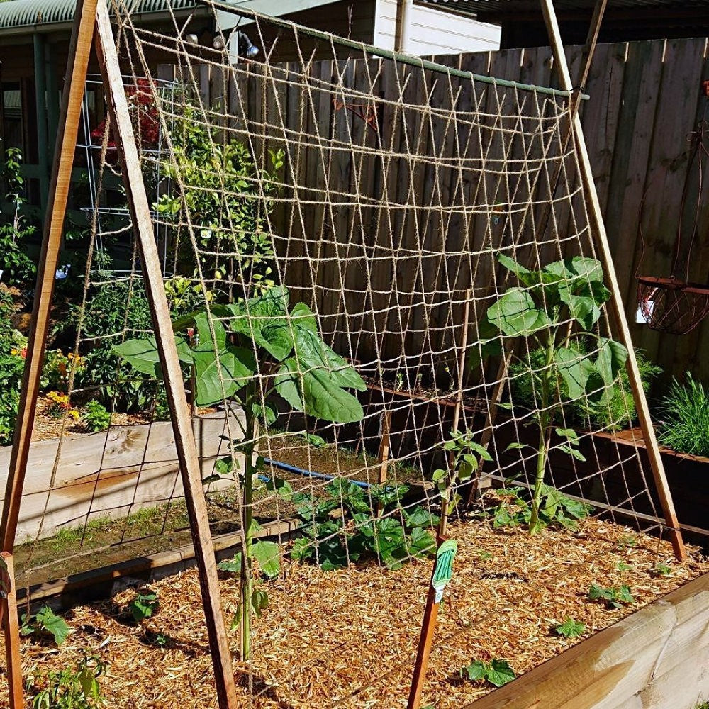 Natural Jute Heavy Duty Pea & Bean Netting 100mm Mesh – Premier Netting