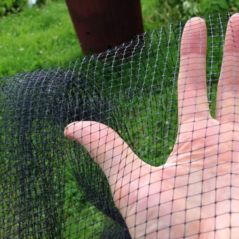 Anti-Butterfly Netting | Crop Protection by the Metre – Premier Netting