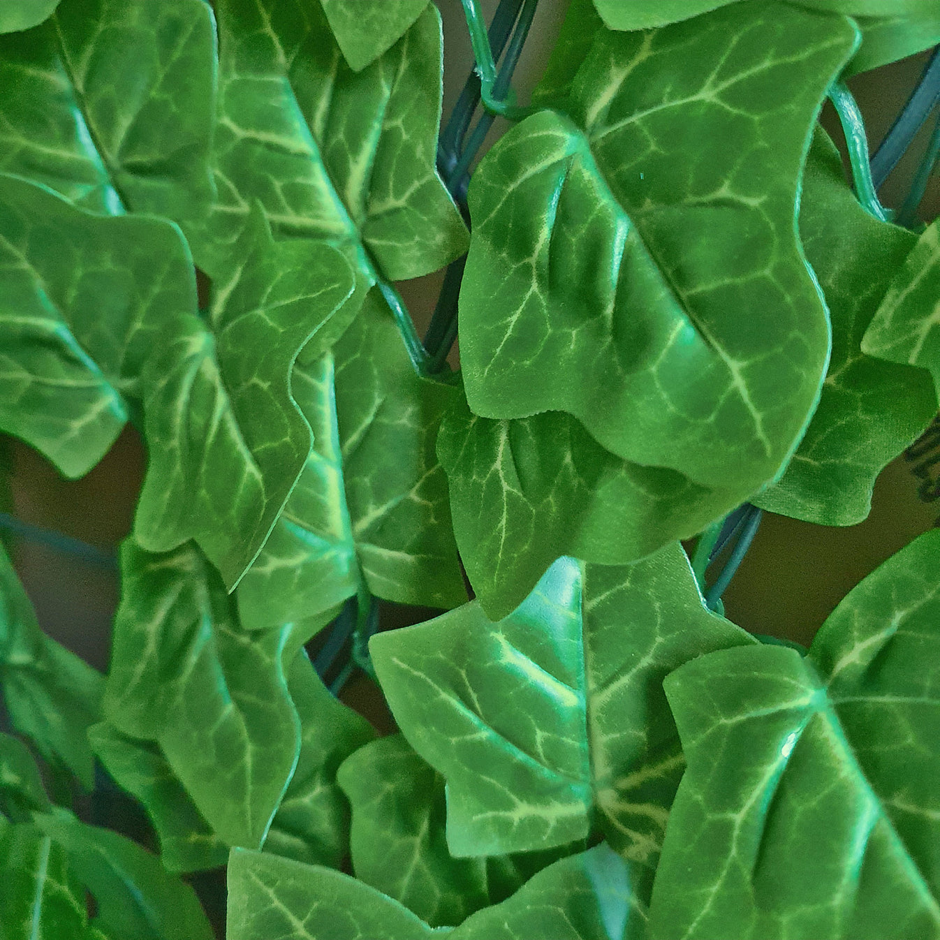 Premium Artificial Ivy Hedge Light Green – Premier Netting