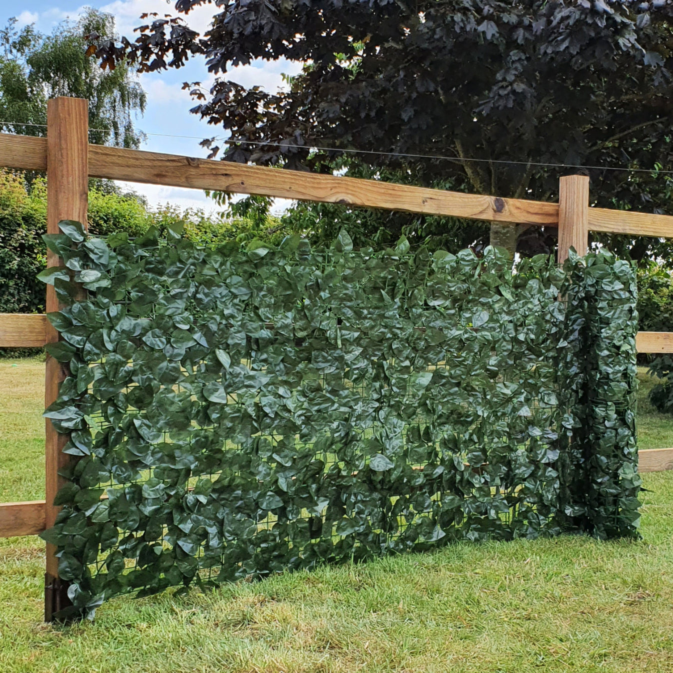 Artificial Hedge Ivy Leaf Garden Fence Screening 3m Long – Premier Netting